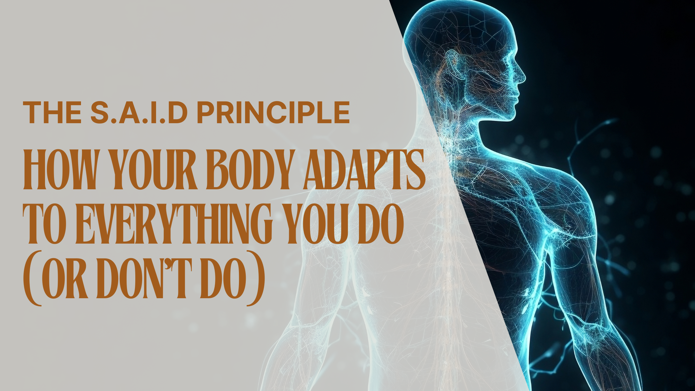 What Is the SAID Principle? | How Your Body Adapts to Movement ...